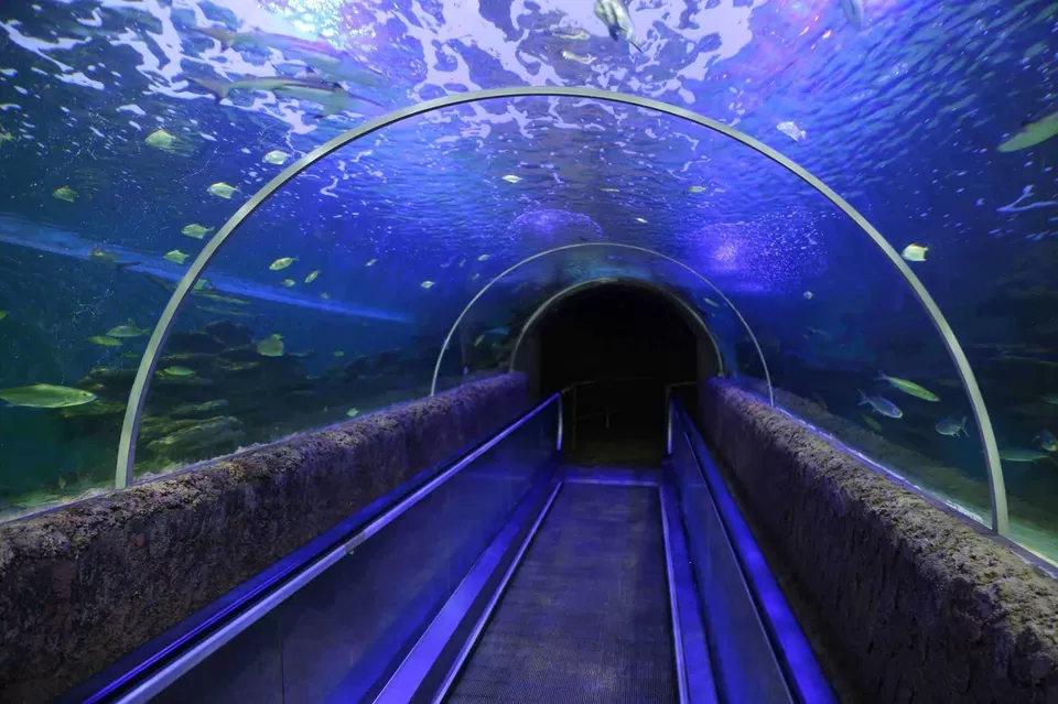 Water World Aquarium: Best Weekend Getaway for Families