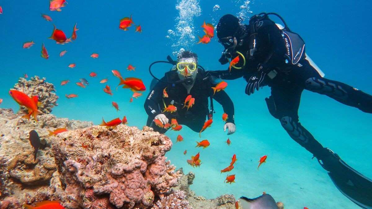 19 Best Place for Scuba Diving in India for Thrills Experience