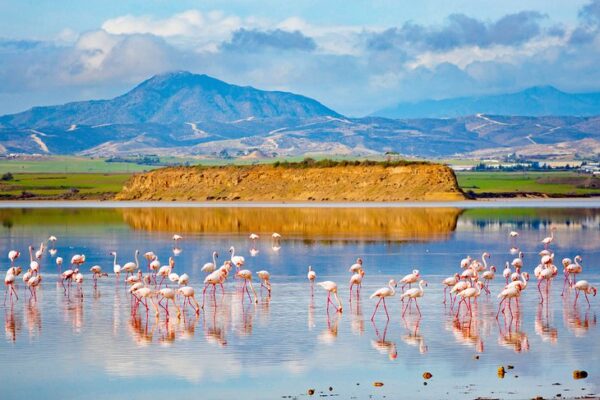 Places to Visit in Limassol Cyprus: 15 Top Attractions